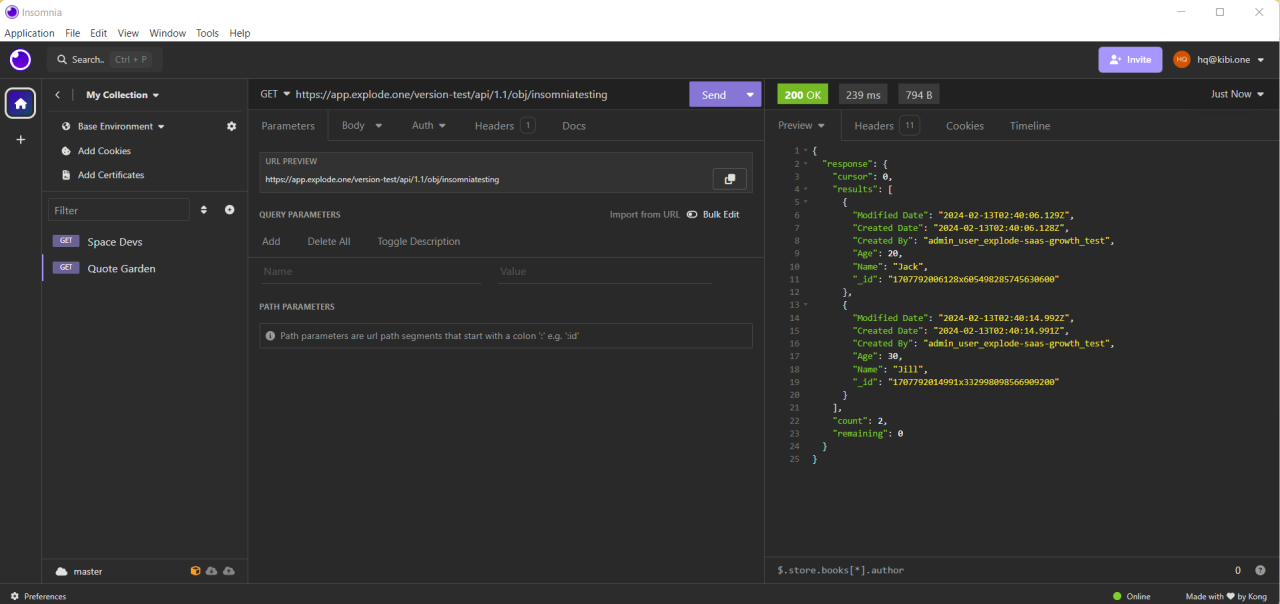 A Beginners Guide to Using Insomnia API