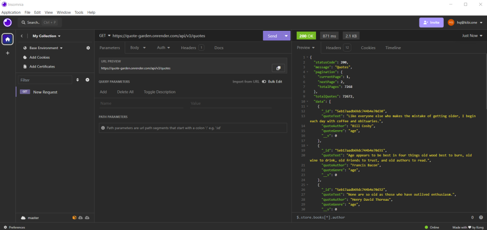 A Beginners Guide to Using Insomnia API