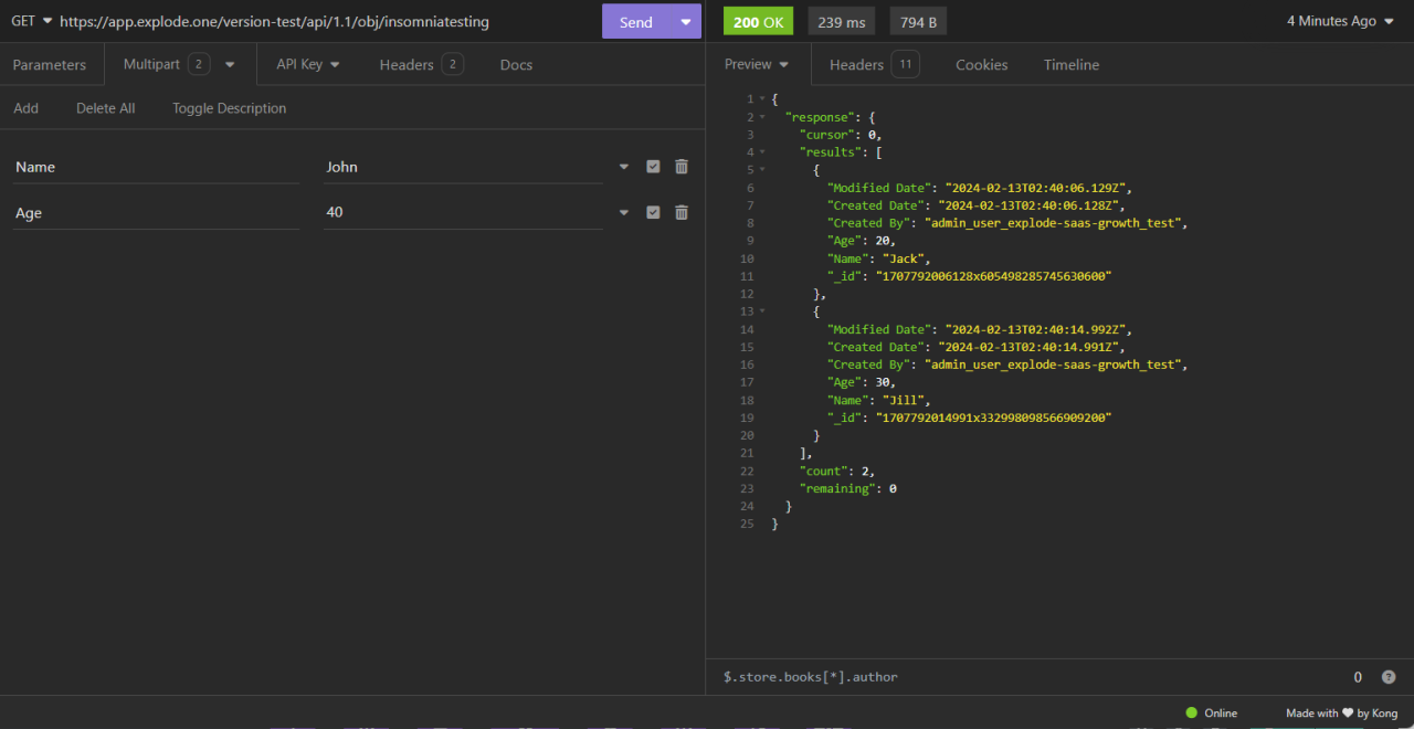 A Beginners Guide to Using Insomnia API