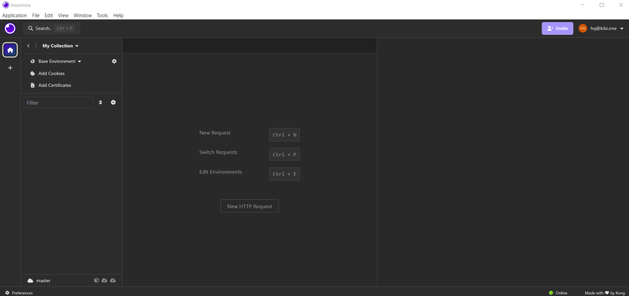 A Beginners Guide to Using Insomnia API